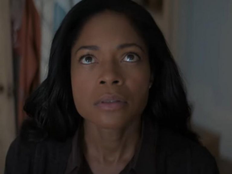 The Wasp (2024) Horror Movie Review - My Favorite Horror