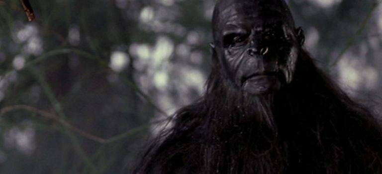 Top 10 Bigfoot Movies That Will Make You Believe - My Favorite Horror